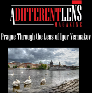 Publications - Yermakov Igor